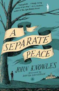 A Separate Peace Book Summary, Review & Key Insights
